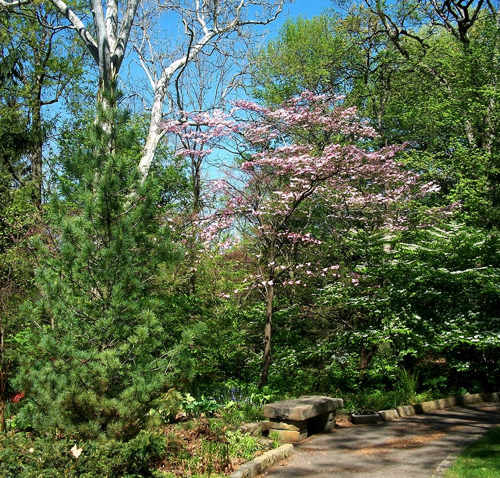 Calendar - First Congregational Church, United Church of Christ